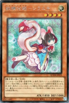 QCDB-JP019 妖精伝姫-シラユキ SE – 半日閒 / After 5